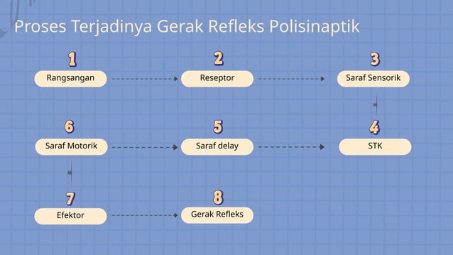 Sistem Saraf Tepi: Gerak Refleks & Sadar | PPTX