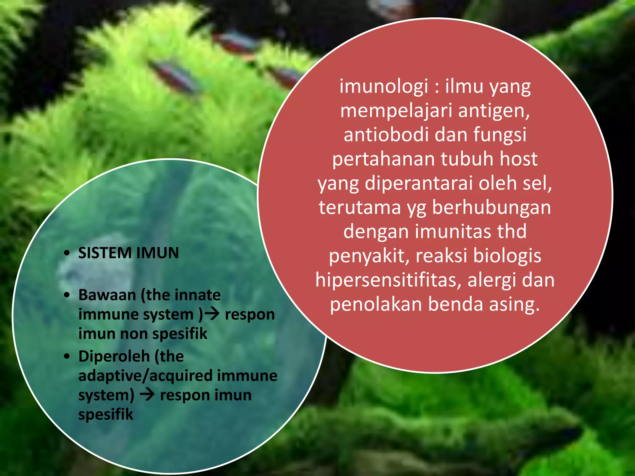 Sistem imun kel 7 | PPTX