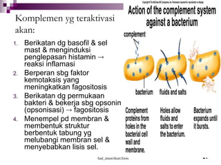 Sistem imun pada manusia dan penejelasannya | PPT