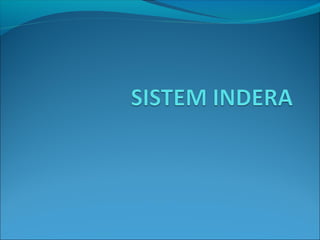 Sistem indera | PPT
