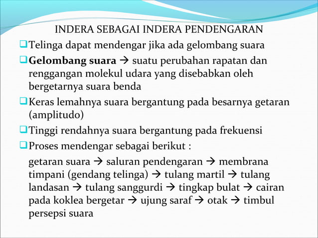 Sistem indera | PPT