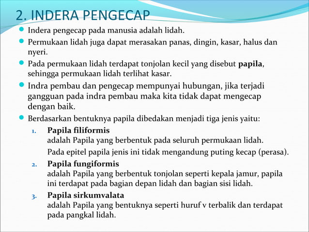 Sistem indera | PPT