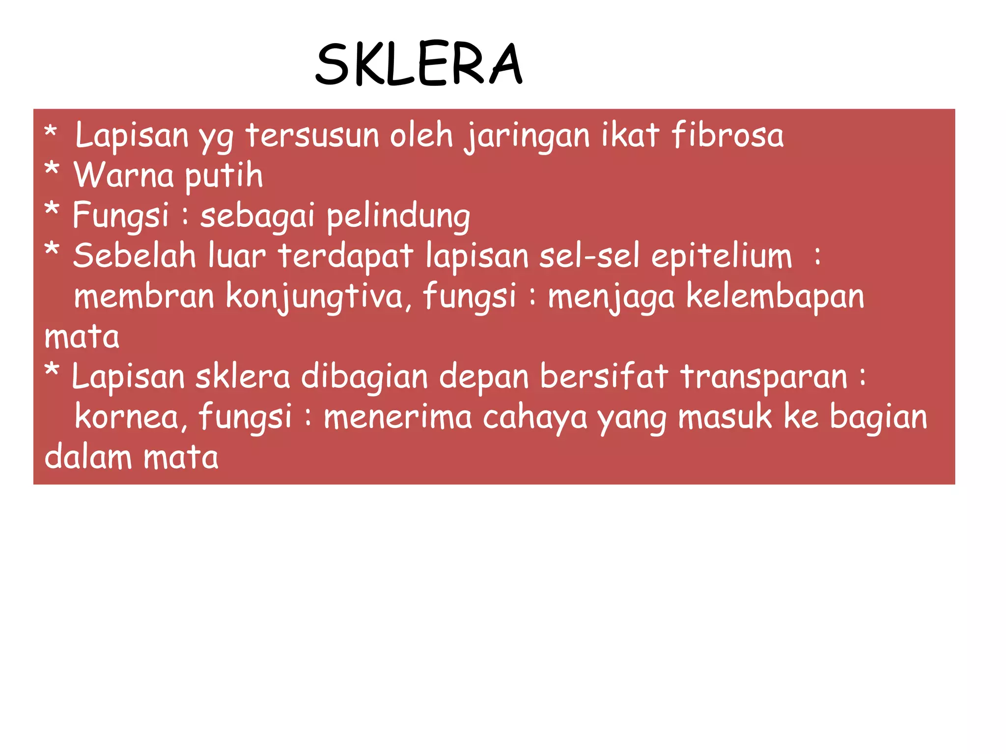 Sistem indera | PPT