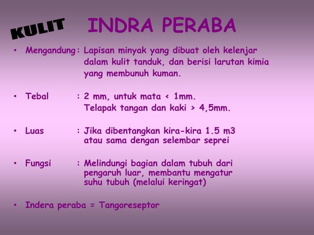 Sistem indera | PPT