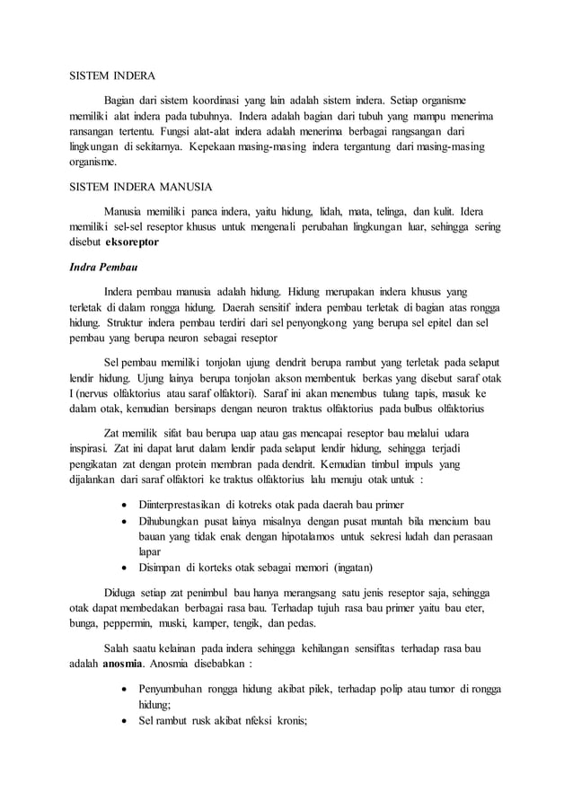 Sistem indera | PDF