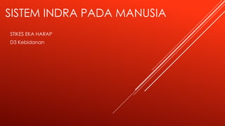 SISTEM indera manusia pada umumnya di dunia | PPTX