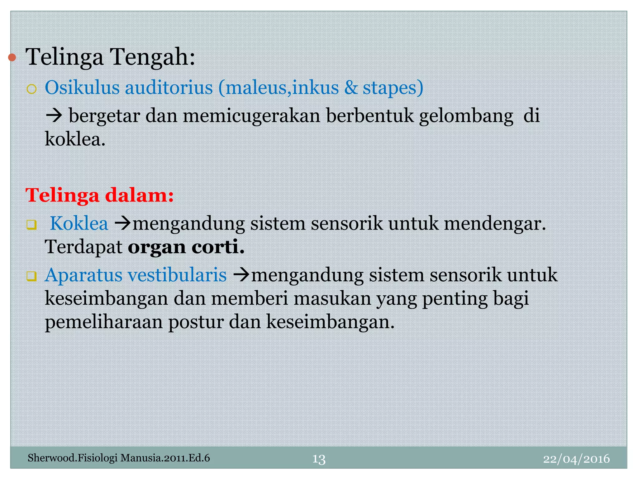 Sistem indra | PPTX