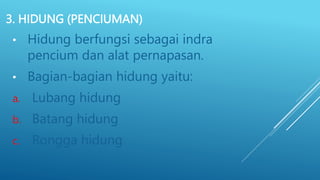 SISTEM_INDRA_PADA_MANUSIA_ppt.pptx