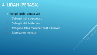 SISTEM_INDRA_PADA_MANUSIA_ppt.pptx
