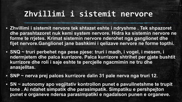 Sistemi nervor | PPT