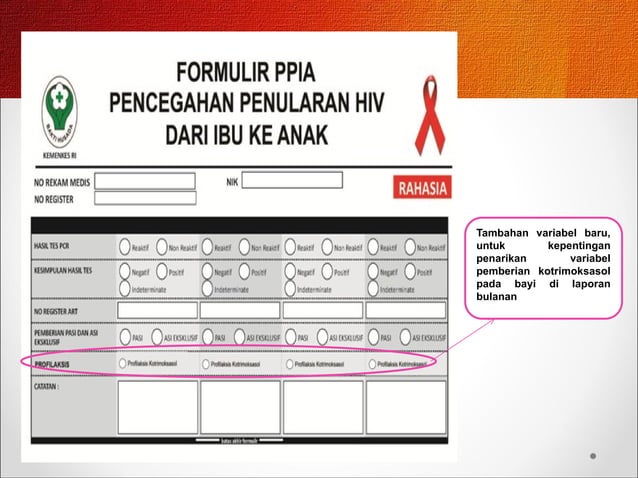 SISTEM INFORMASI HIV AIDS DAN IMS_SIHA.pptx
