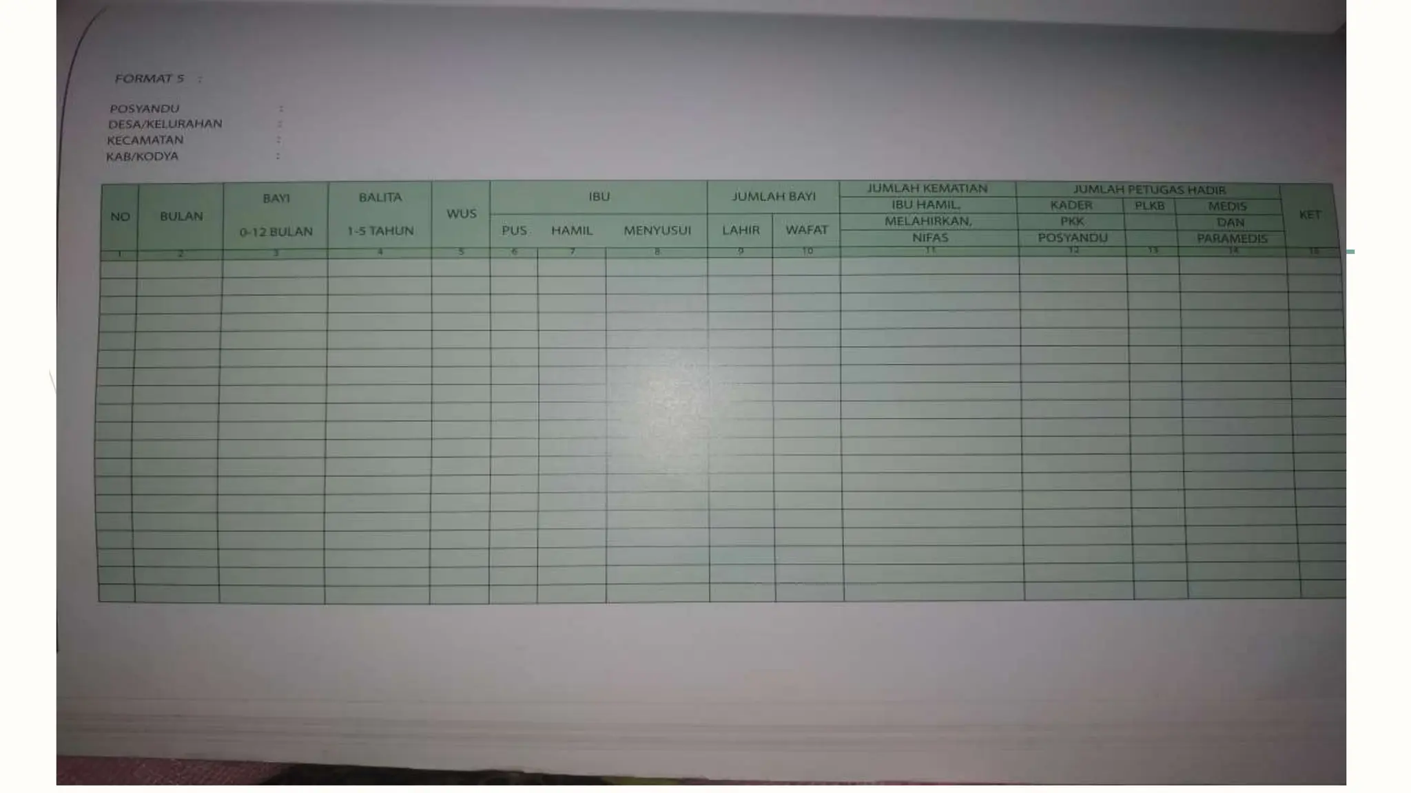 SISTEM INFORMASI POSYANDU (SIP).pptxxxxx | PPTX