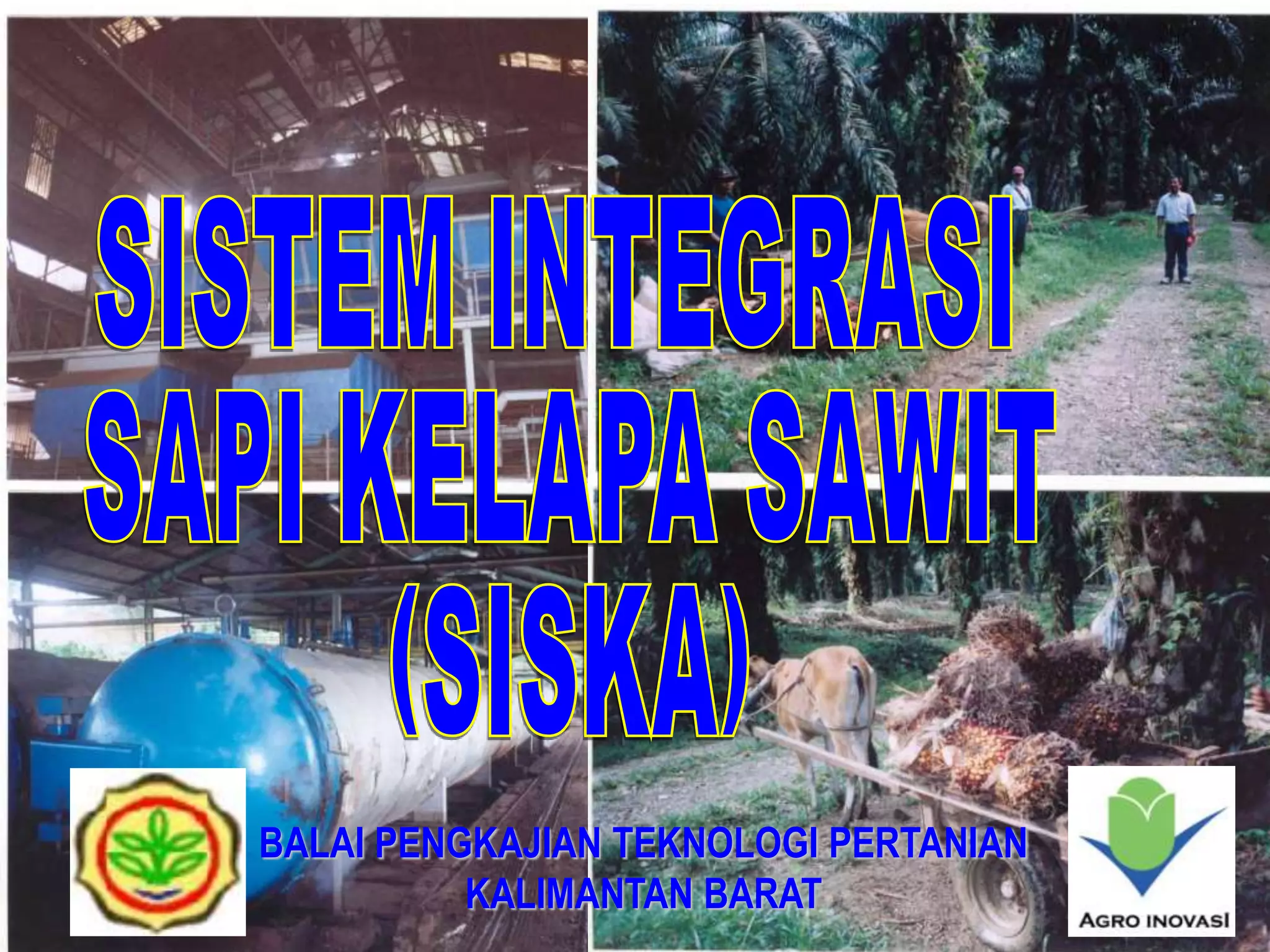 Sistem integrasi sapi kelapa sawit (siska) | PPSX