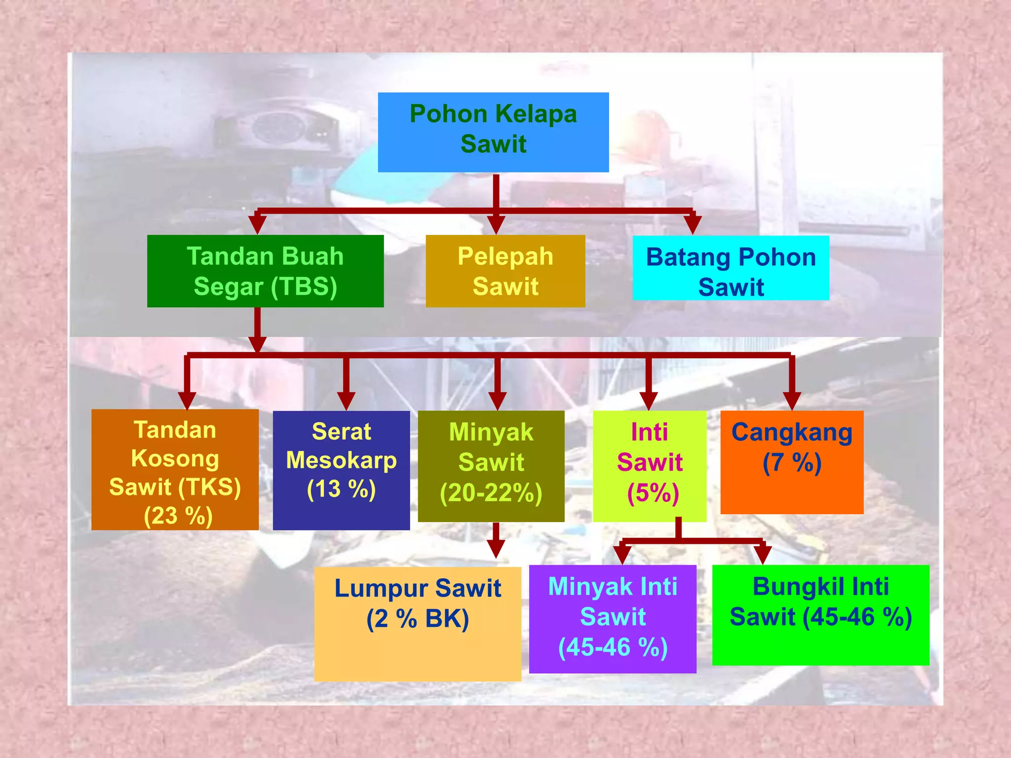 Sistem integrasi sapi kelapa sawit (siska) | PPSX