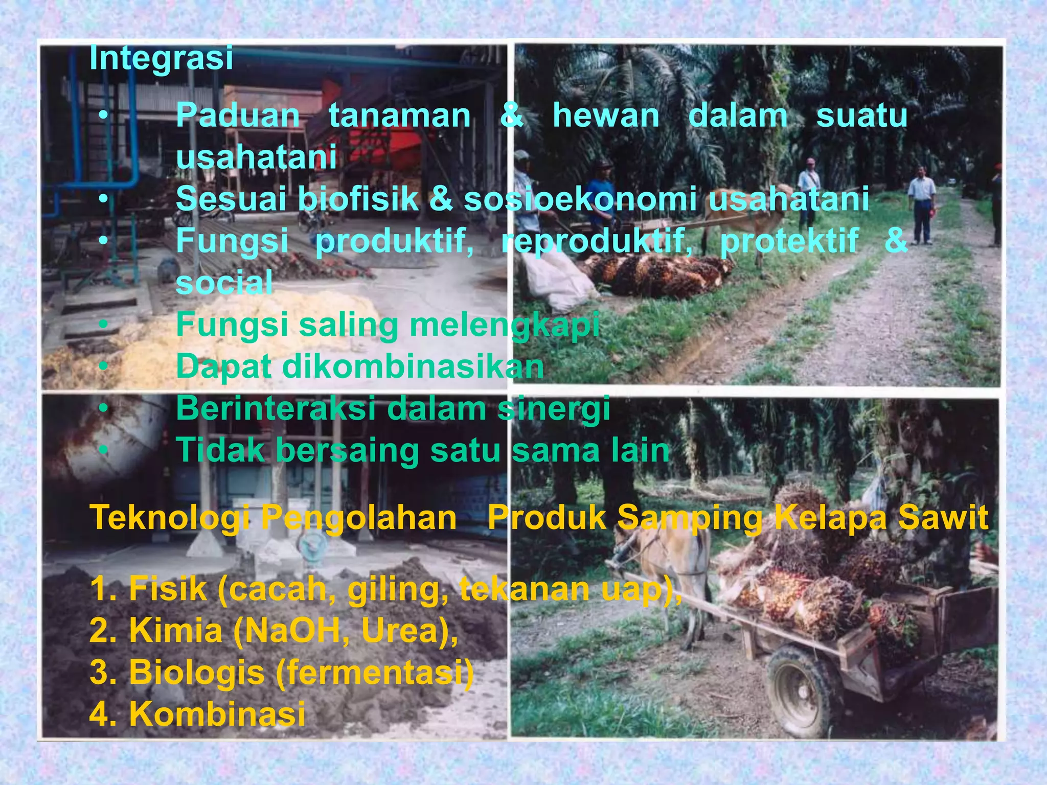 Sistem integrasi sapi kelapa sawit (siska) | PPSX