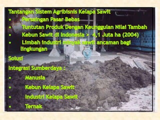 Sistem integrasi sapi kelapa sawit (siska) | PPSX