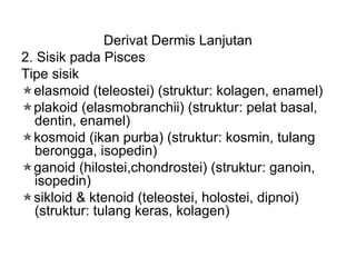 Sistem integumen | PPT