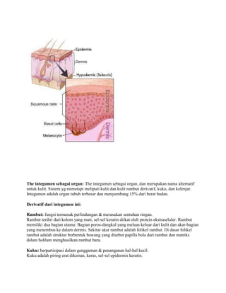 Sistem integumen AKPER PEMKAB MUNA | DOCX