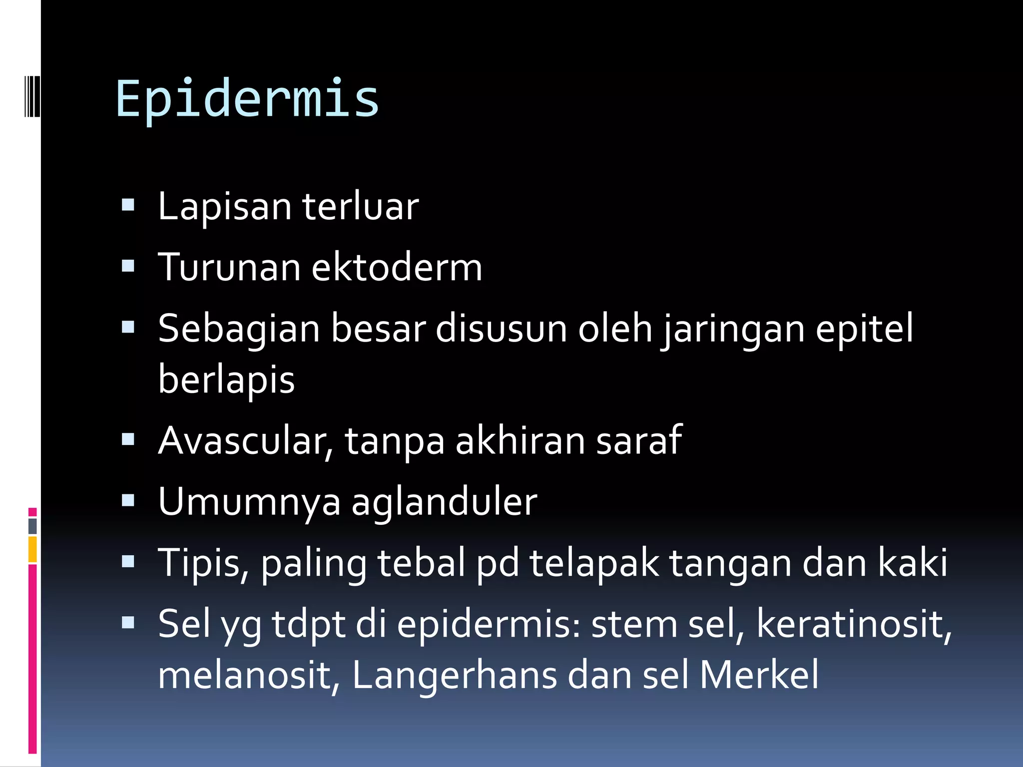 Sistem integumen | PDF