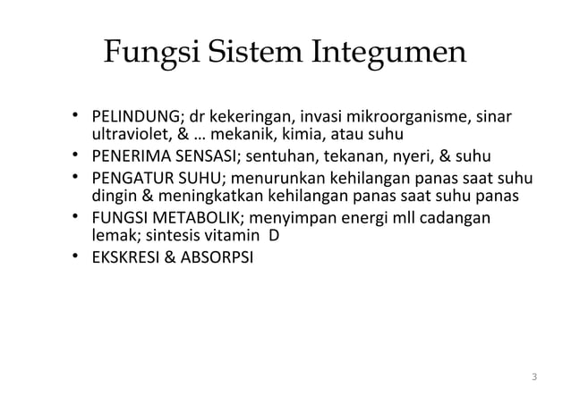 Sistem integumen | PPT