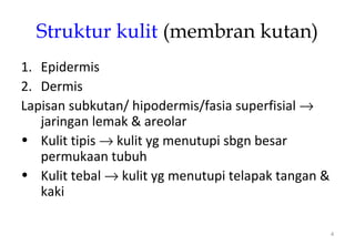 Sistem integumen | PPT