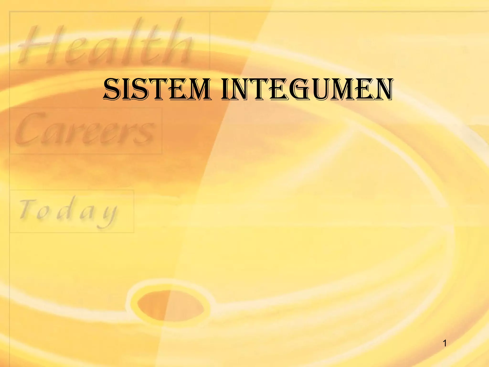 Sistem integumen (Struktur Hewan) | PPT