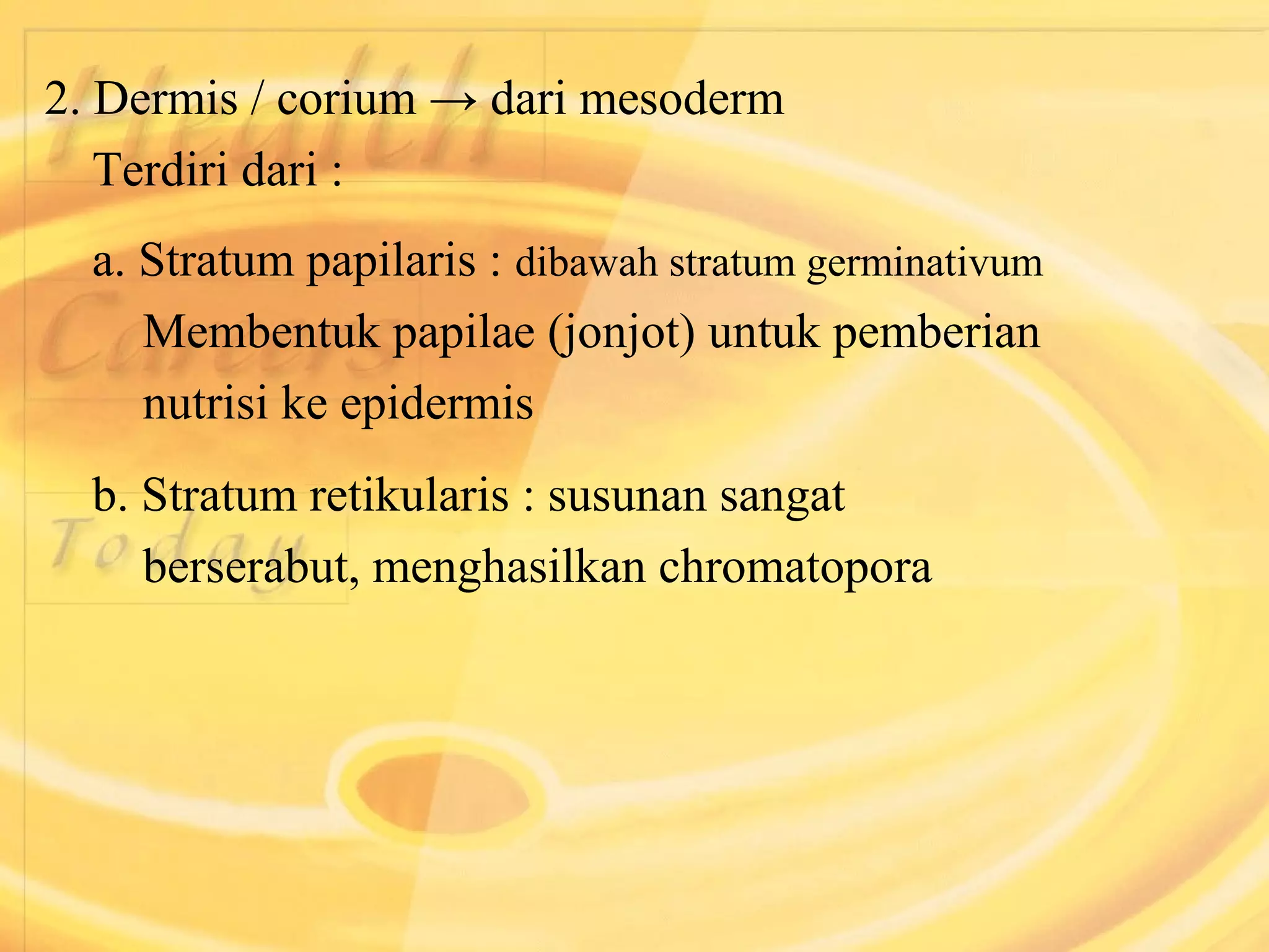 Sistem integumen (Struktur Hewan) | PPT