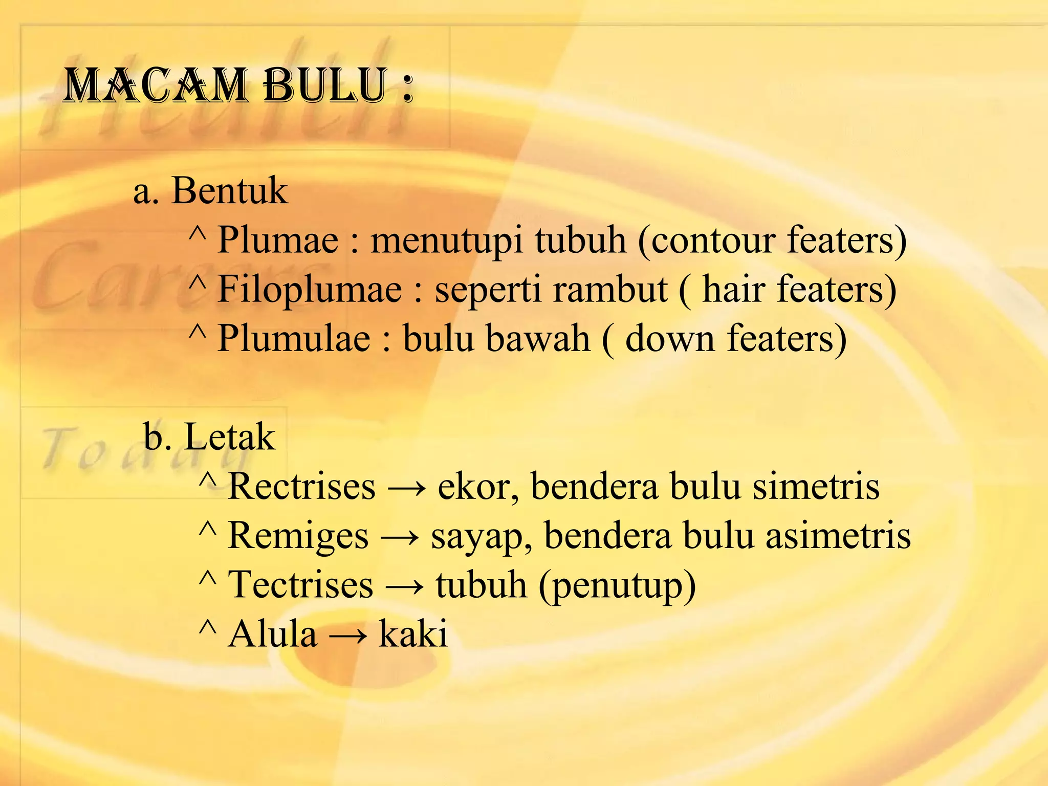 Sistem integumen (Struktur Hewan) | PPT