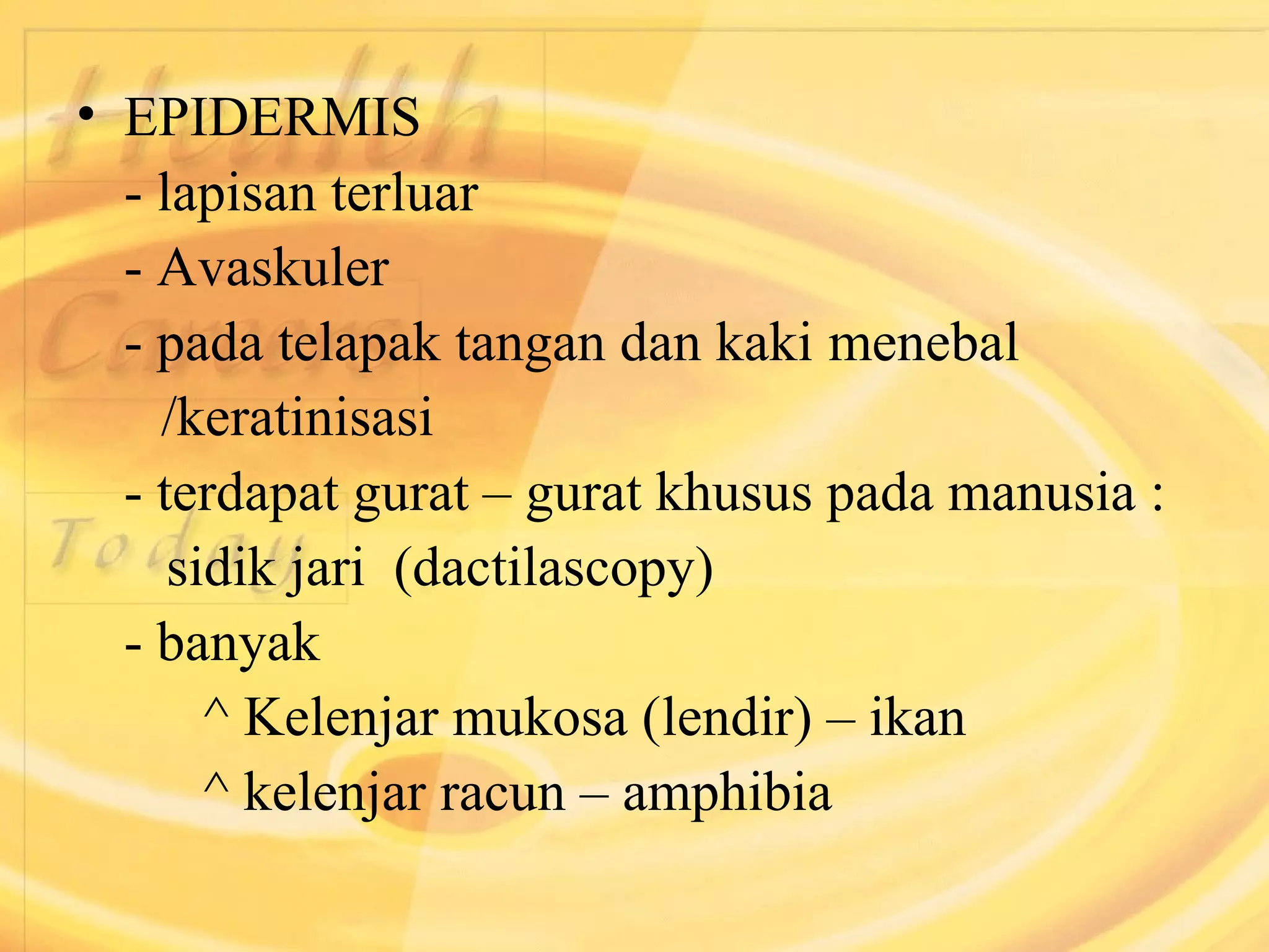 Sistem integumen (Struktur Hewan) | PPT