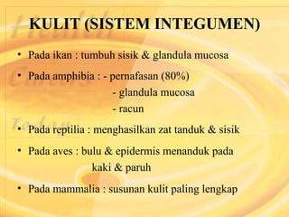 Sistem integumen (Struktur Hewan) | PPT