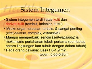 Sistem integumen (Struktur Hewan) | PPT