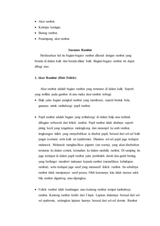 Sistem integumen | DOCX