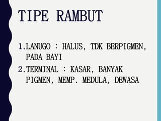 Sistem integumen | PDF