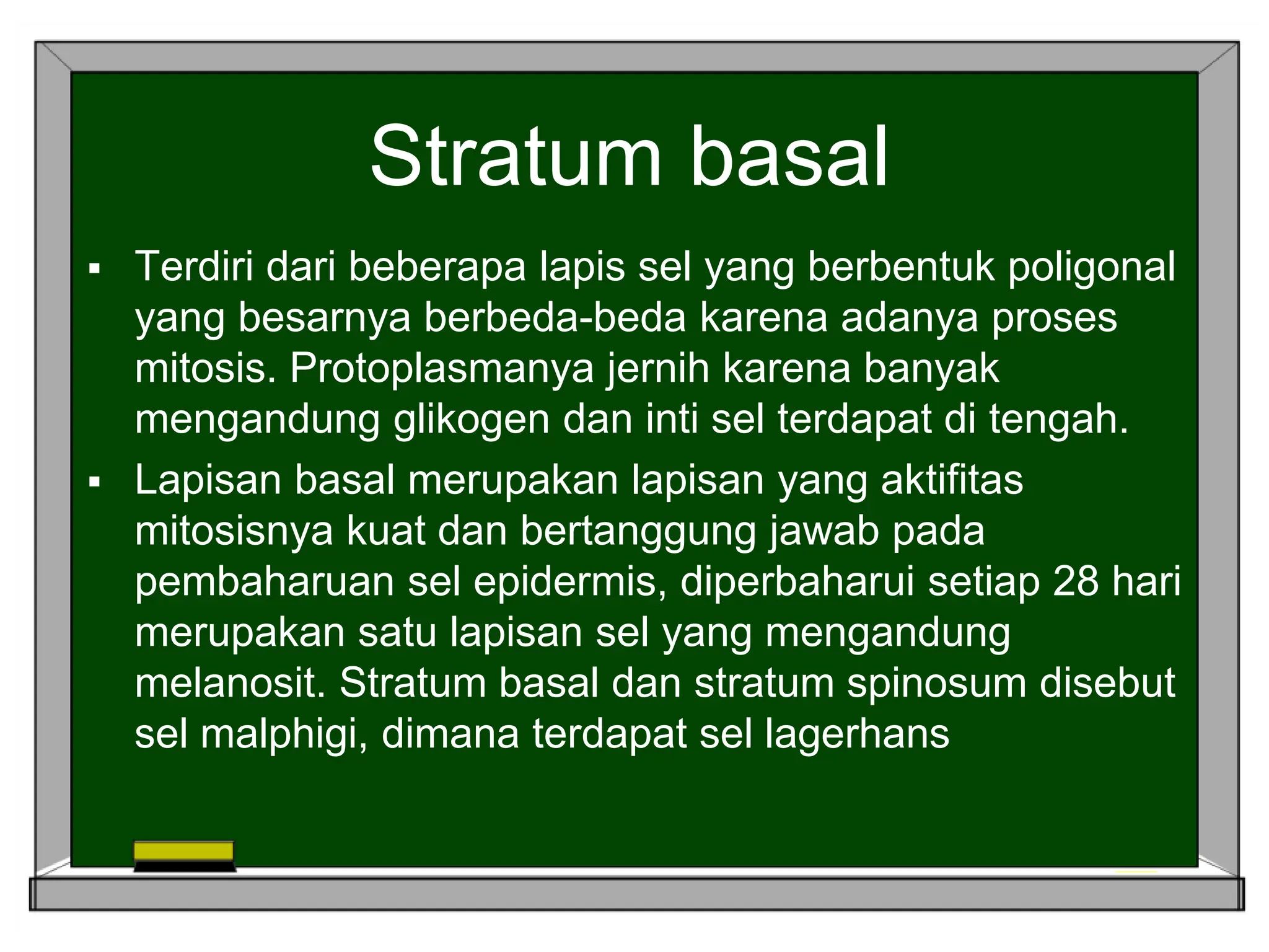 Sistem Integumen pada hewan vertebrata manusia dan hewan vertebrata | PPTX