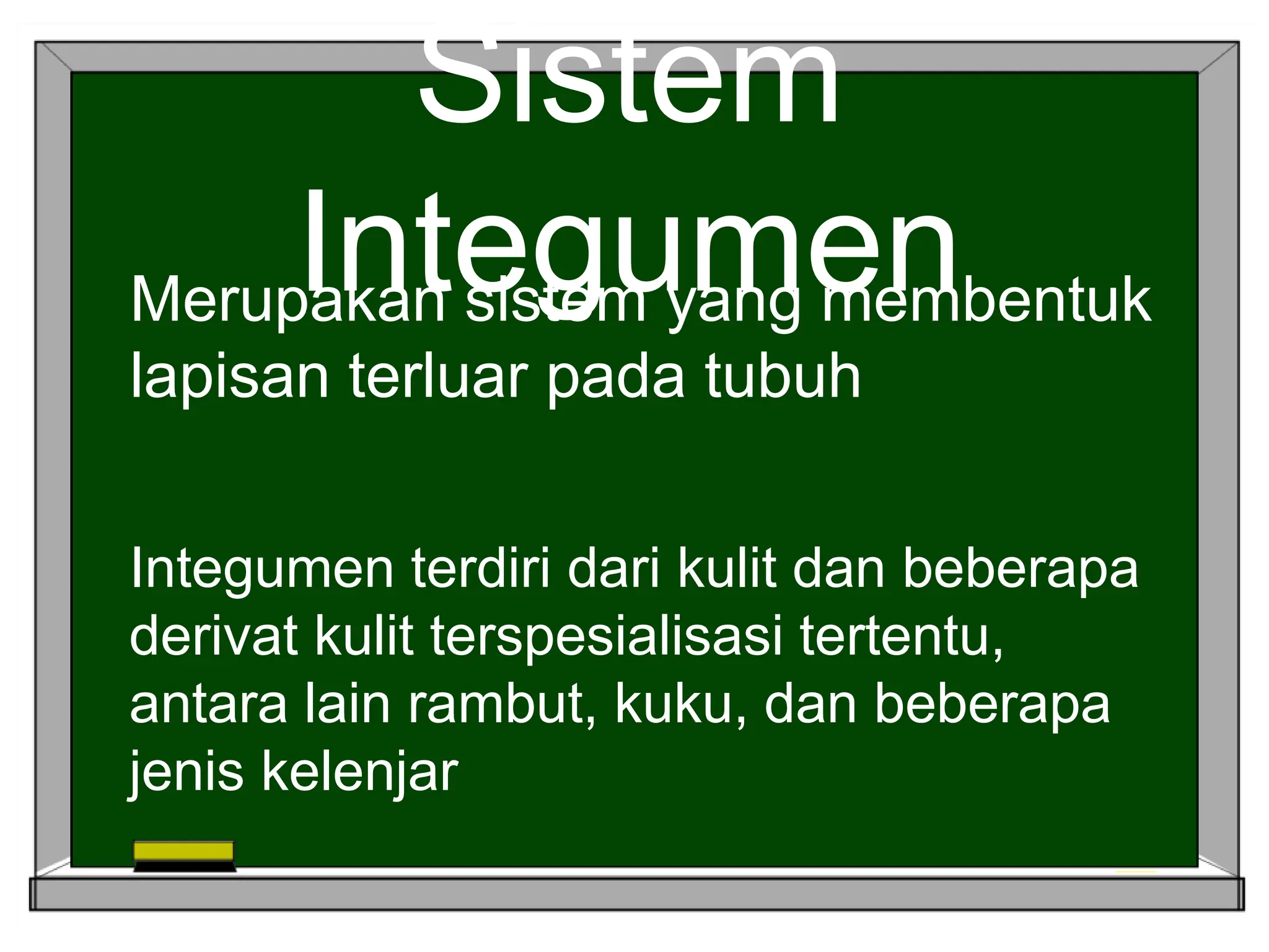 Sistem Integumen pada hewan vertebrata manusia dan hewan vertebrata | PPTX