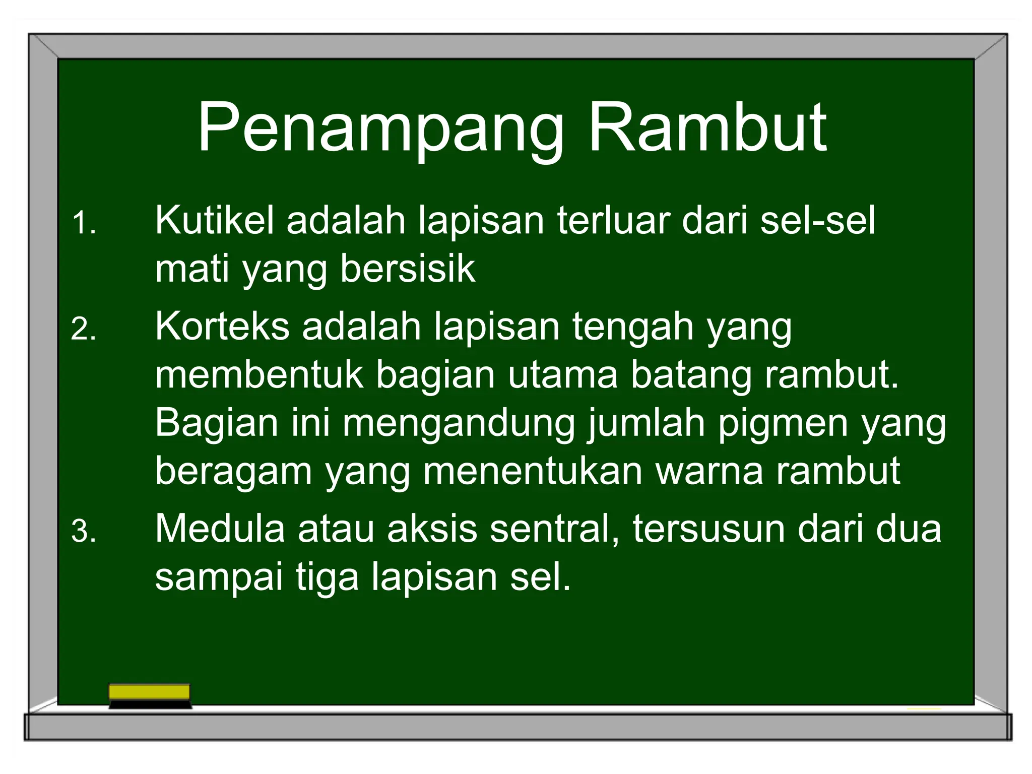 Sistem Integumen pada hewan vertebrata manusia dan hewan vertebrata | PPTX