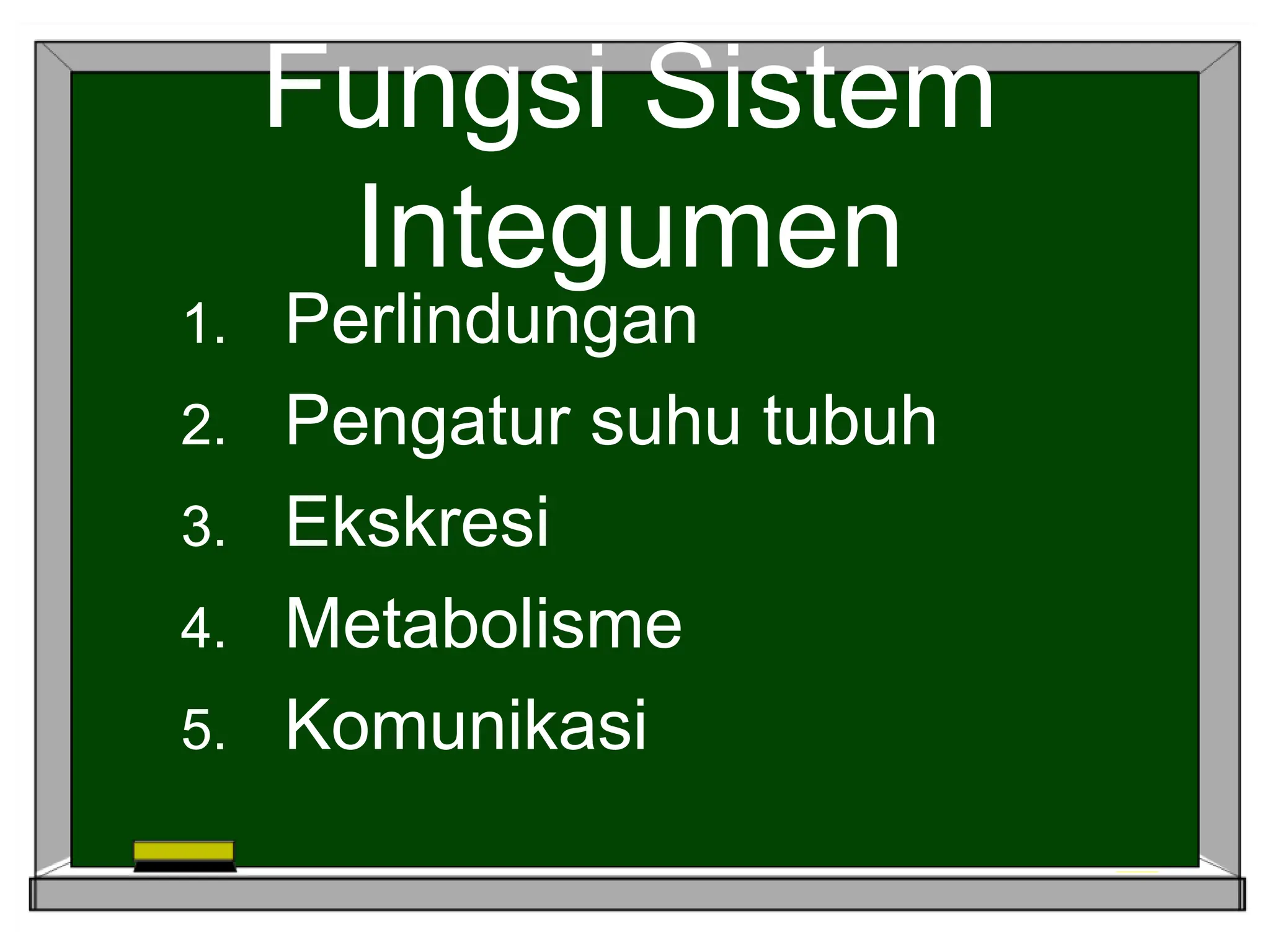 Sistem Integumen pada hewan vertebrata manusia dan hewan vertebrata | PPTX