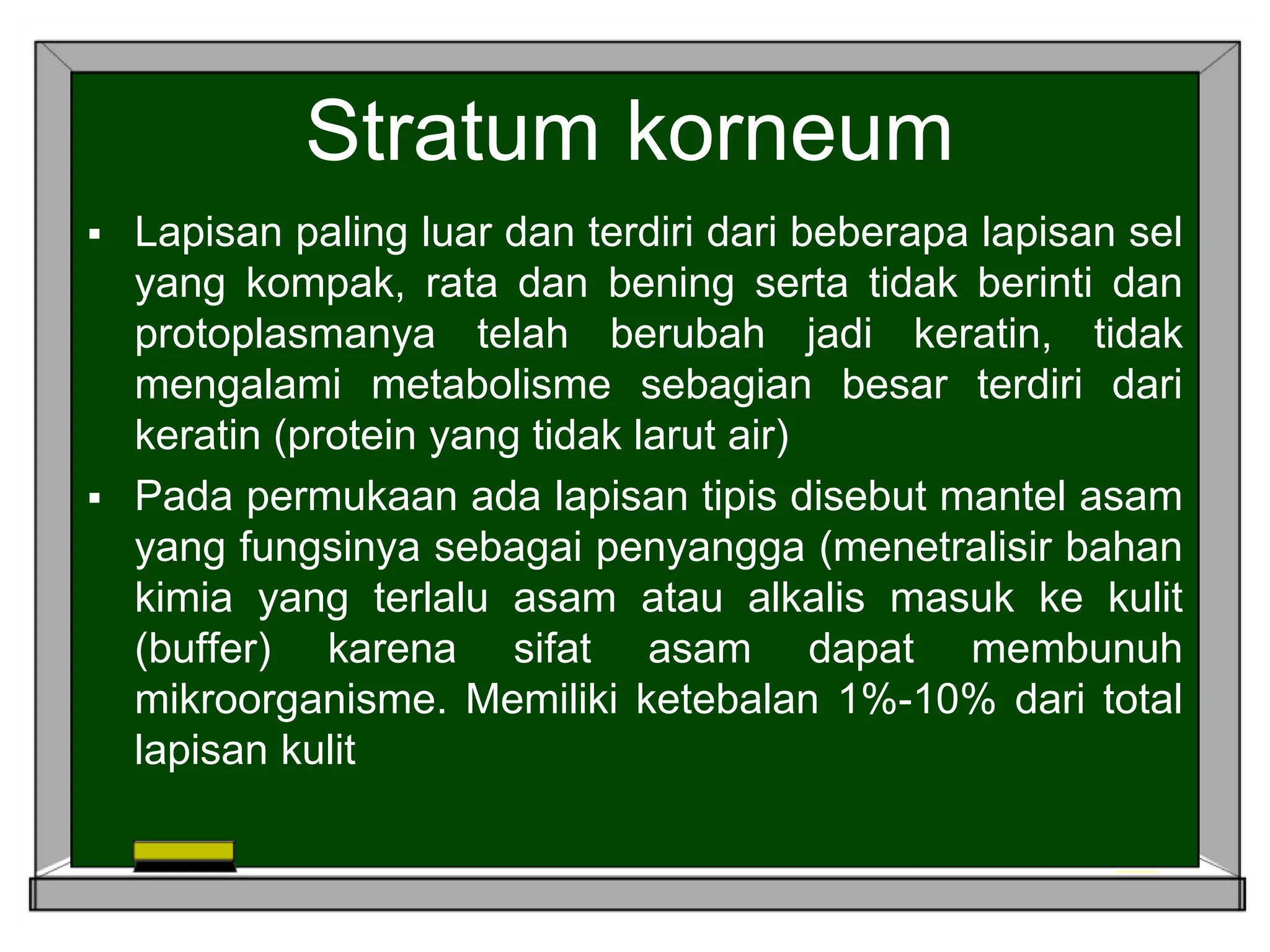 Sistem Integumen pada hewan vertebrata manusia dan hewan vertebrata | PPTX