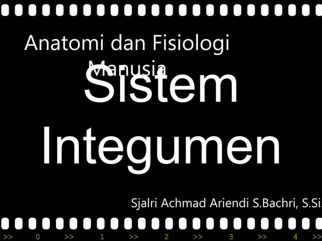 Sistem Integumen pada hewan vertebrata manusia dan hewan vertebrata | PPTX