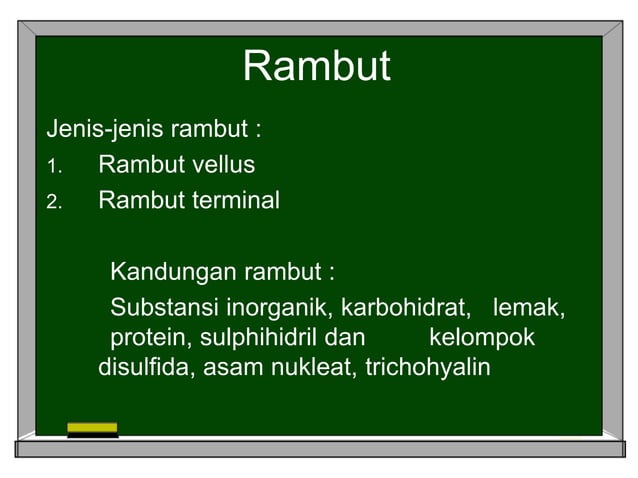 Sistem Integumen pada hewan vertebrata manusia dan hewan vertebrata | PPTX