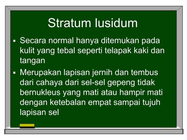 Sistem Integumen pada hewan vertebrata manusia dan hewan vertebrata | PPTX