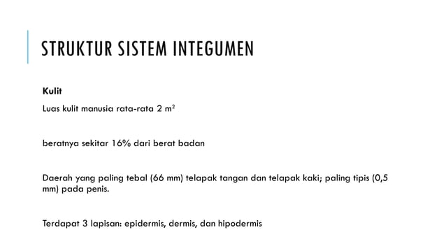Sistem Integumen pptx sistem integumennn | PPTX