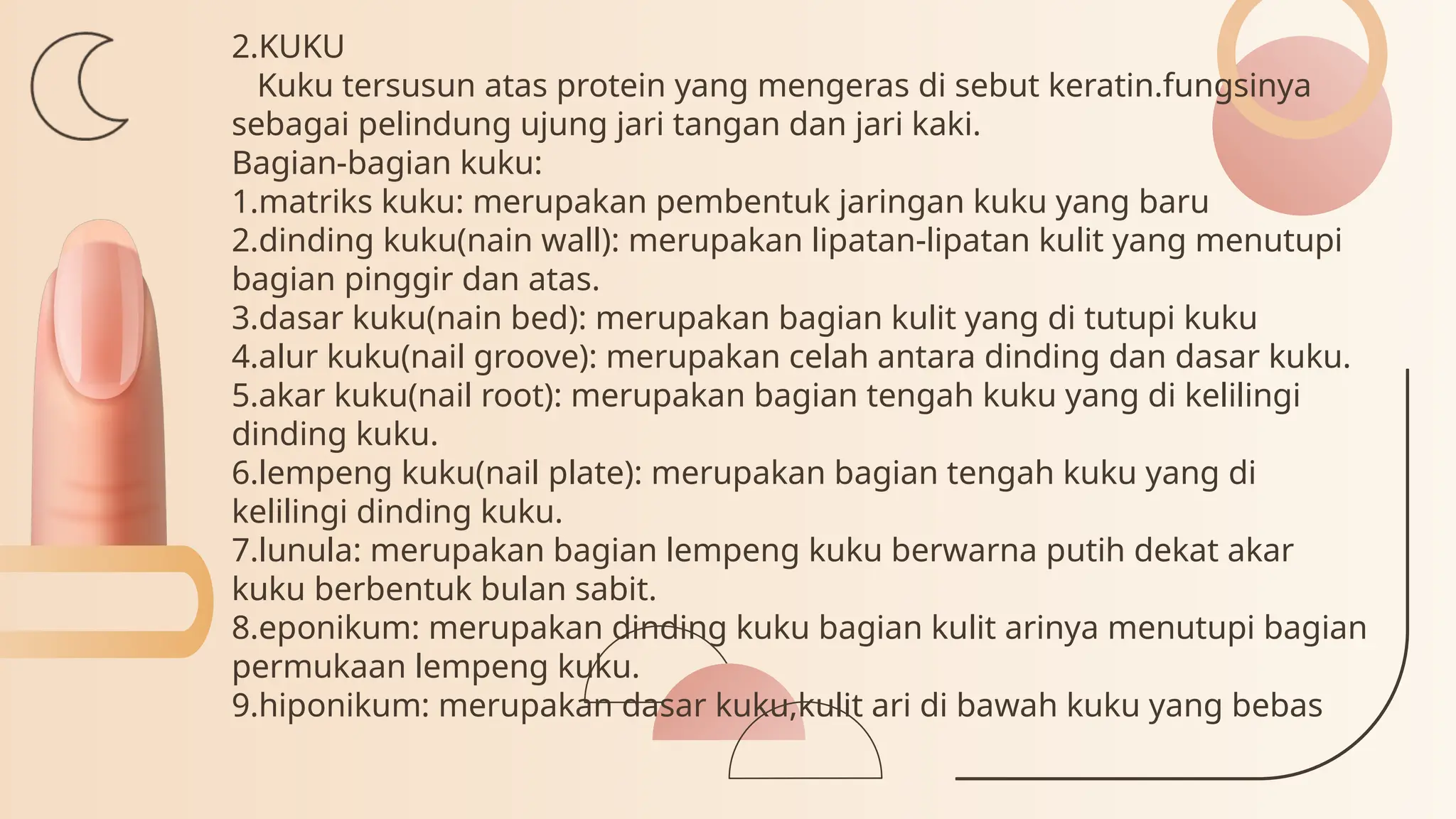 sistem integumen KULIT, LAPISAN EPIDERMIS | PPT