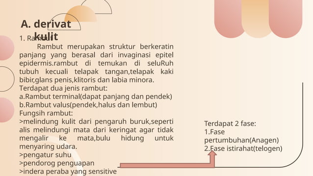 sistem integumen KULIT, LAPISAN EPIDERMIS | PPT
