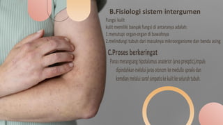 sistem integumen KULIT, LAPISAN EPIDERMIS | PPT