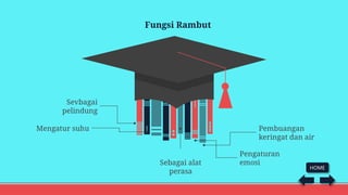 Sistem Integumen (Anfis) Ilmu biomedik.pptx