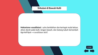 Sistem Integumen (Anfis) Ilmu biomedik.pptx