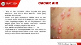 sistem integumddddddddddddddddddddddddden 2024.pptx