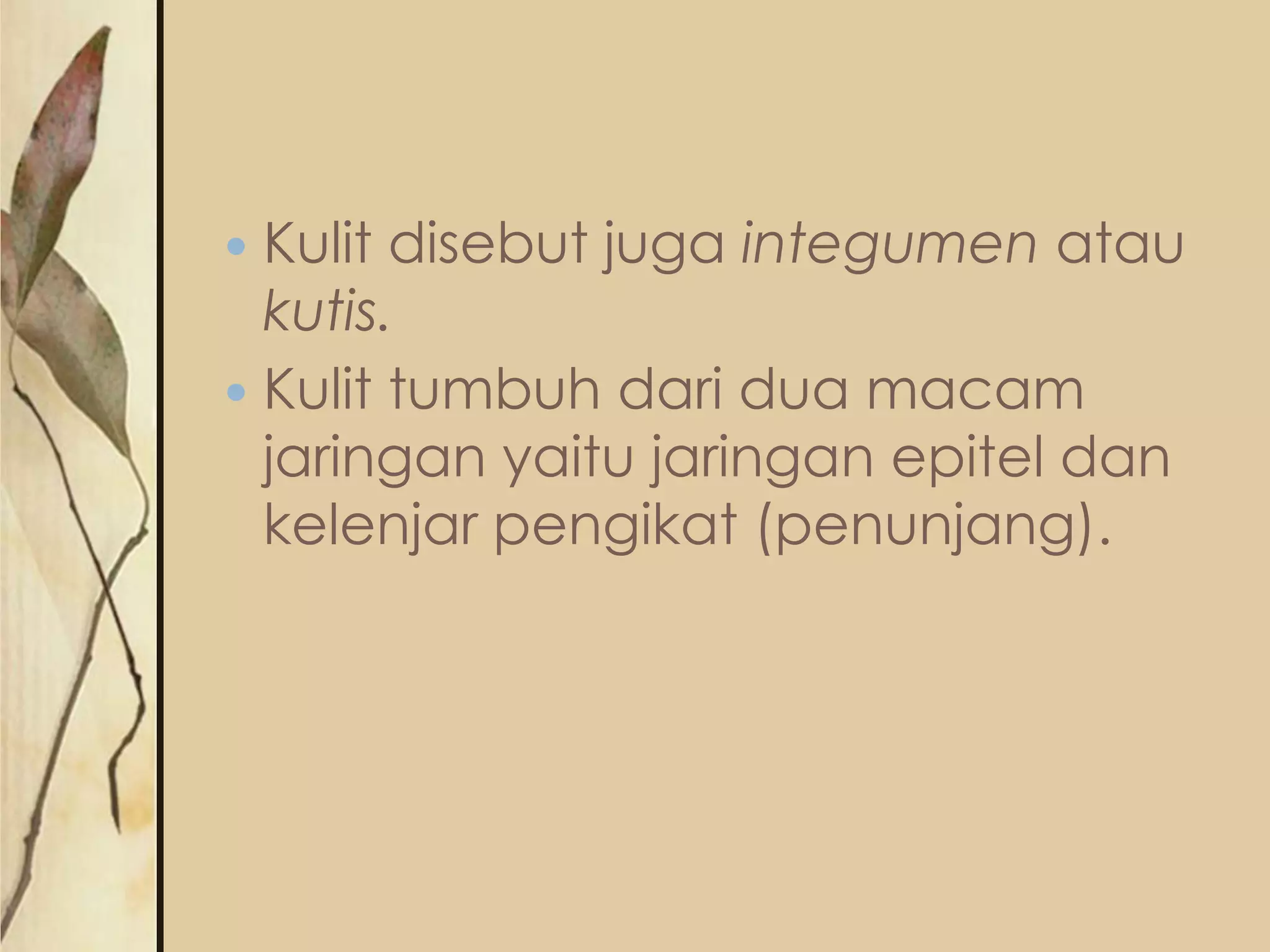 Sistem integumen manusia | PPTX