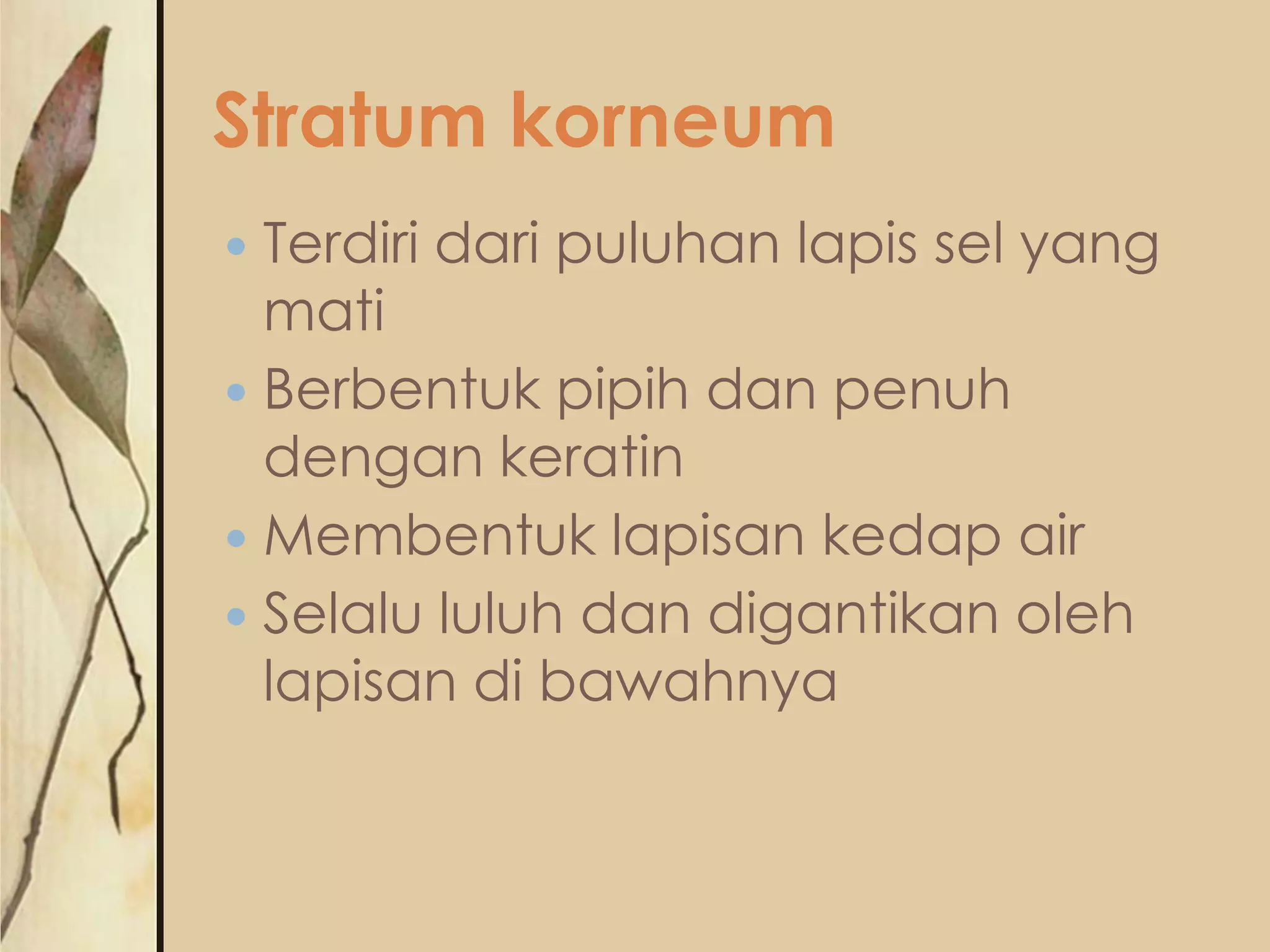 Sistem integumen manusia | PPTX